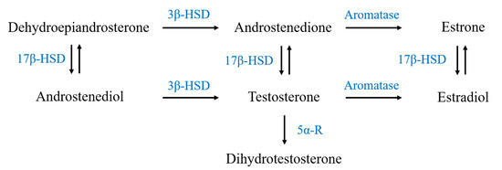 Hydrogen Peroxide Stimulates Dihydrotestosterone Release in C2C12 ...