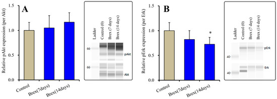 Brexpiprazole Reduces 5-HT7 Receptor Function on Astroglial ...