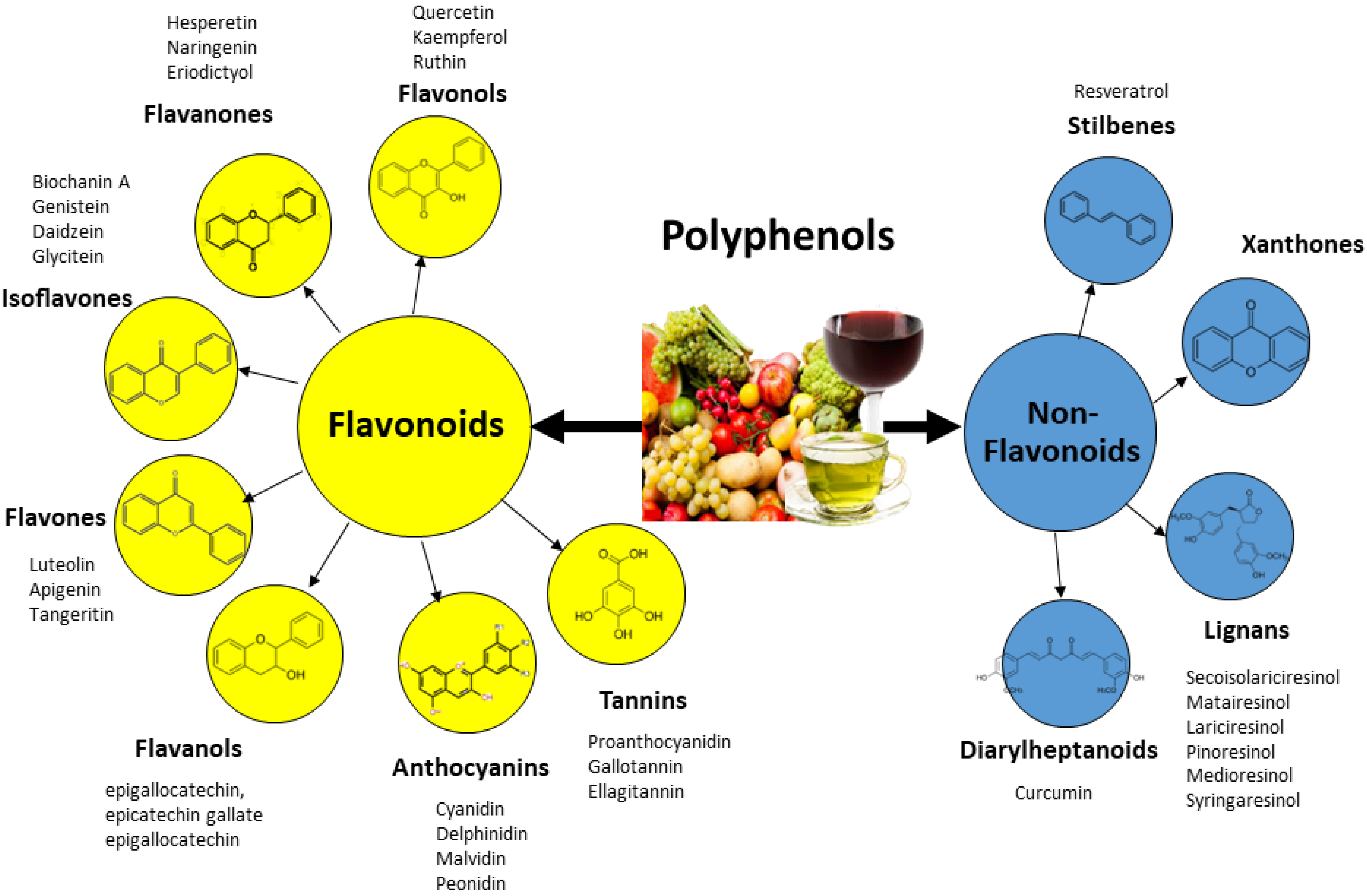 Ijms Free Full Text Novel Insights On Dietary Polyphenols For
