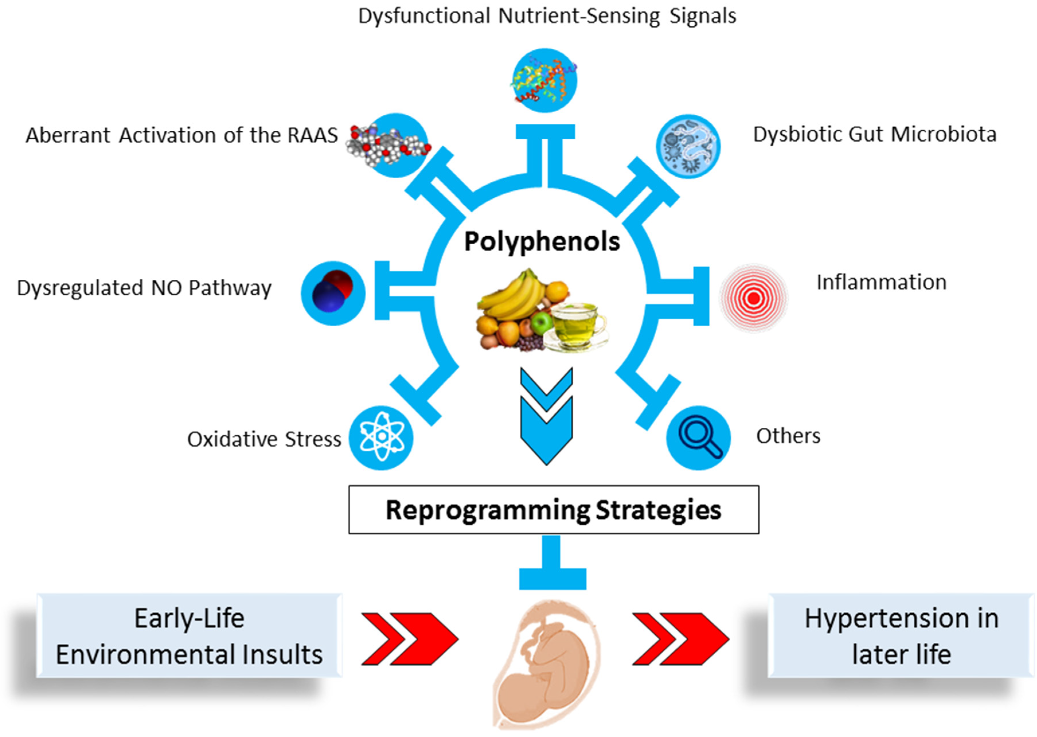 Novel Insights on Dietary Polyphenols for Prevention in Early-Life ...
