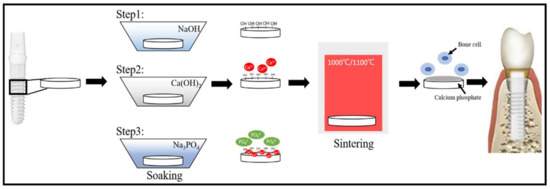 Preparation of Calcium Phosphate Compounds on Zirconia Surfaces for ...