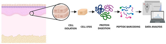 Single-Cell Proteomics: The Critical Role of Nanotechnology