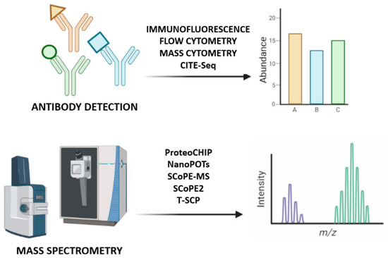 Single-Cell Proteomics: The Critical Role of Nanotechnology