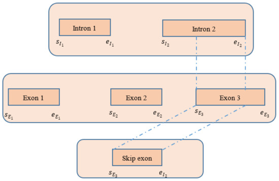 Reconstruction of Full-Length circRNA Sequences Using Chimeric ...