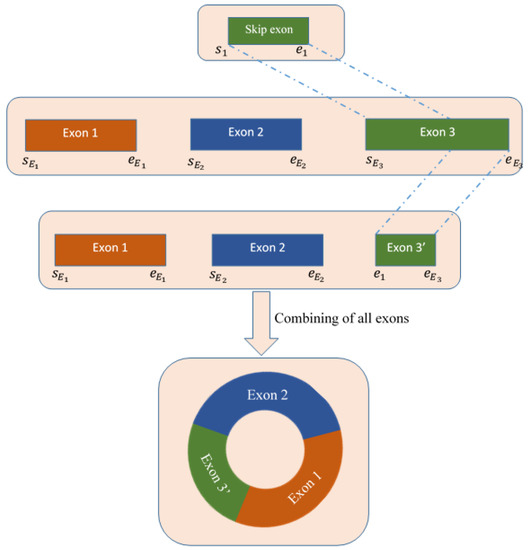 Reconstruction of Full-Length circRNA Sequences Using Chimeric ...