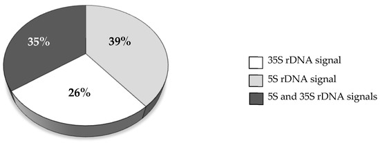 Unraveling the DNA Methylation in the rDNA Foci in Mutagen-Induced ...