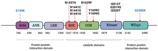 LRRK2 and Proteostasis in Parkinson’s Disease