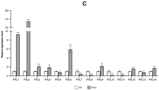 Genome-Wide Analysis and Expression Profiling of the Phenylalanine ...