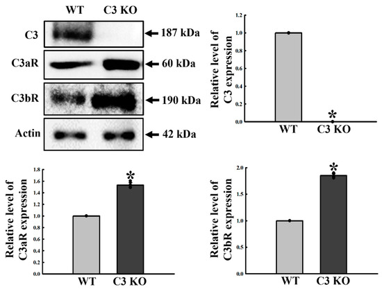 Dysregulation of the Enteric Nervous System in the Mid Colon of ...