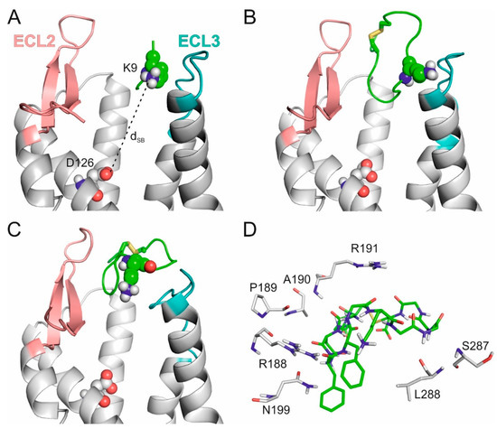 Exploration of Somatostatin Binding Mechanism to Somatostatin Receptor ...