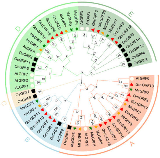 Genome-Wide Identification and Characterization of Growth Regulatory ...