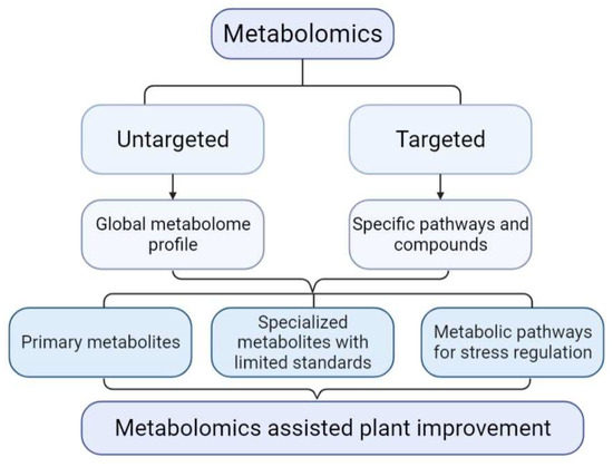 IJMS | Free Full-Text | Advances in Plant Metabolomics and Its ...