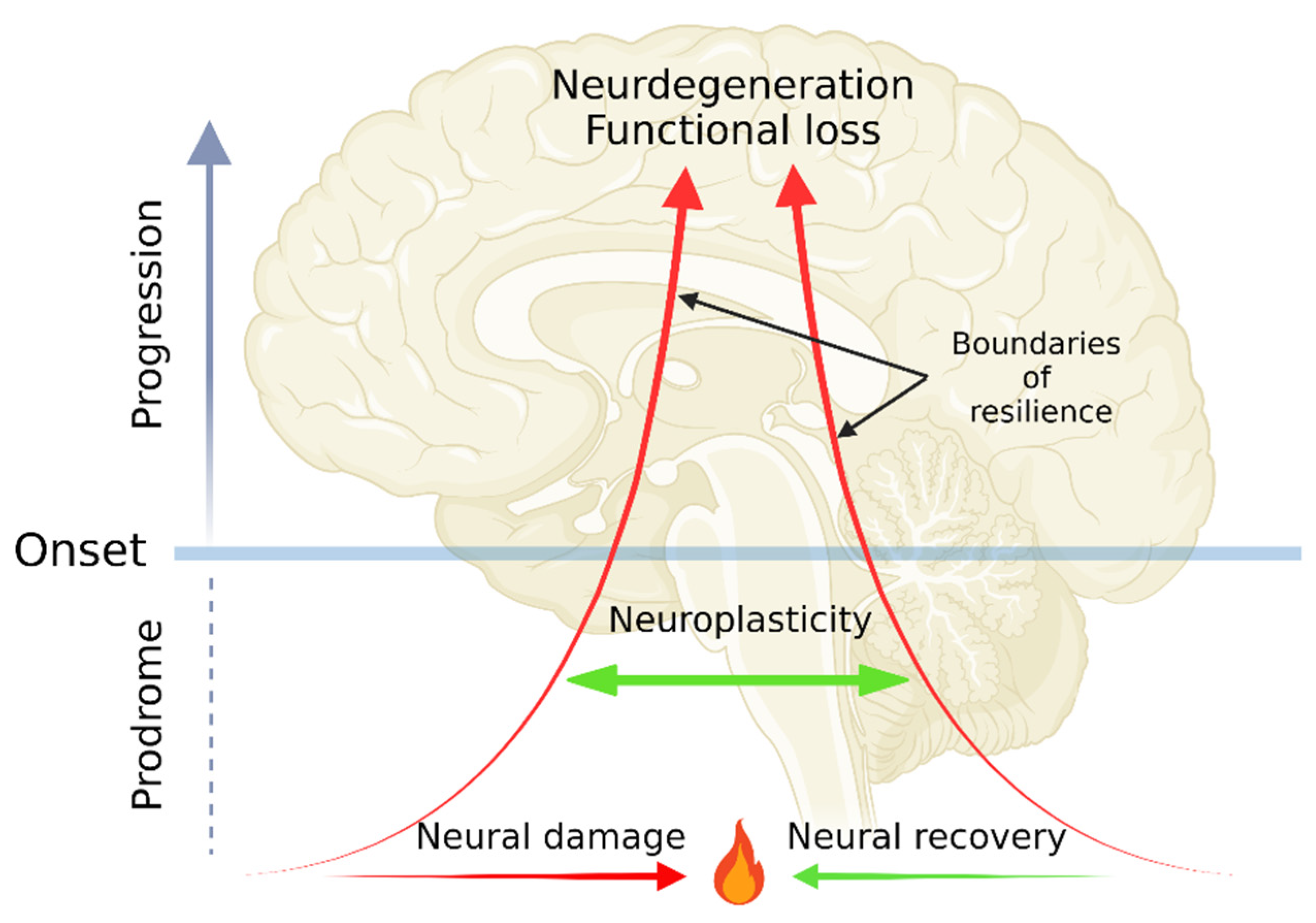 Editorial of Special Issue ‘Dissecting Neurological and ...