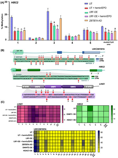 LRF Promotes Indirectly Advantageous Chromatin Conformation via BGLT3 ...