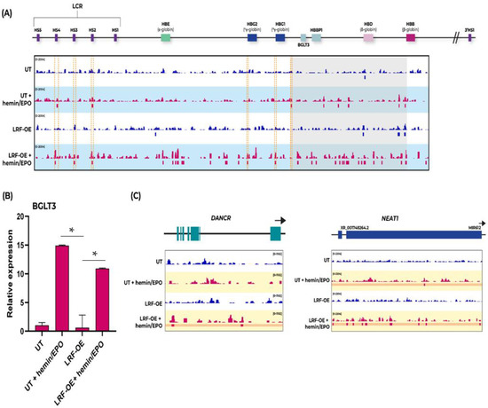 LRF Promotes Indirectly Advantageous Chromatin Conformation via BGLT3 ...