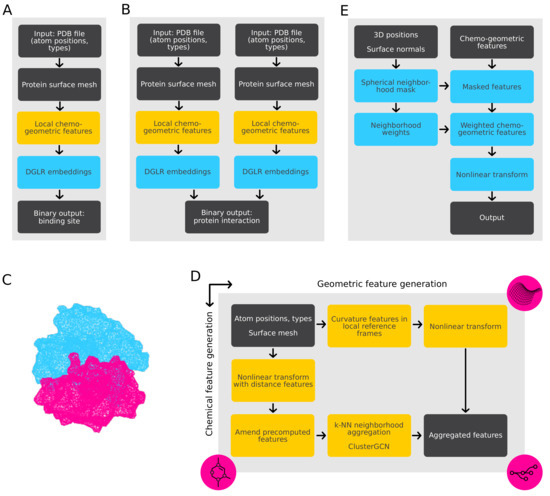 Protein–Protein Interaction Prediction for Targeted Protein Degradation