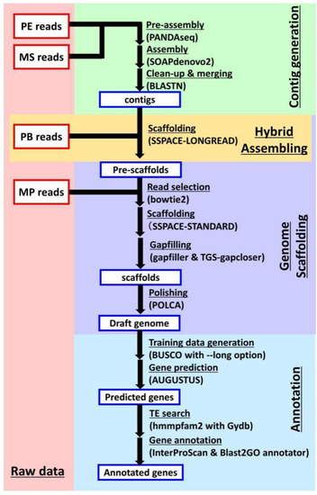 IJMS | Free Full-Text | Draft Genome of Tanacetum Coccineum: Genomic ...