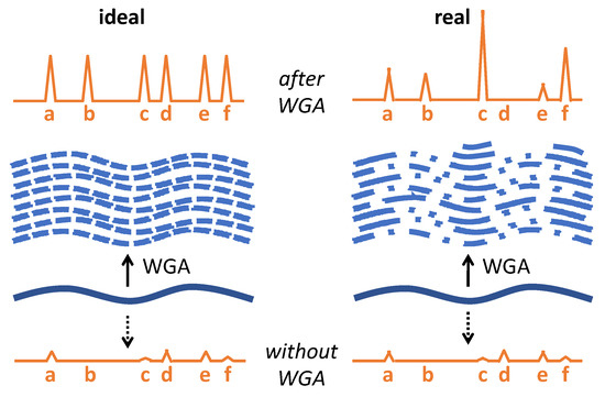 New Perspectives for Whole Genome Amplification in Forensic STR Analysis