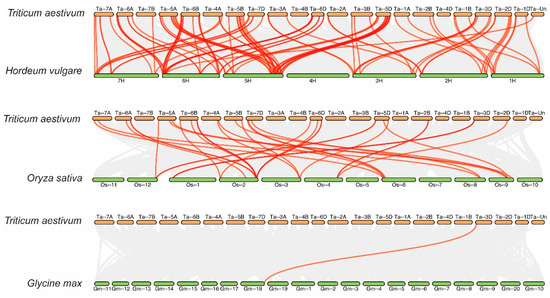 Characterization of the WAK Gene Family Reveals Genes for FHB ...