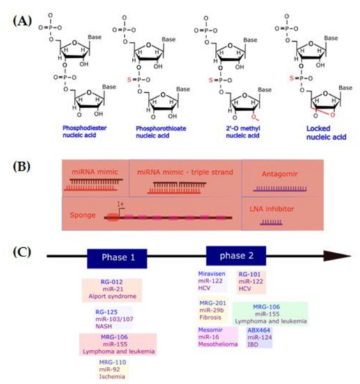 MicroRNA-Based Diagnosis and Therapy