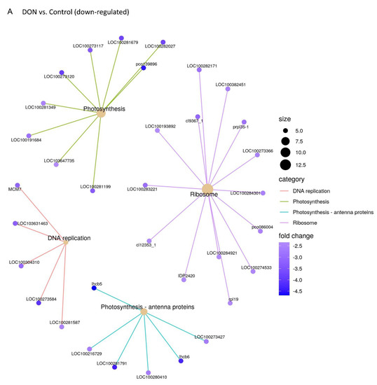 3-keto-DON, but Not 3-epi-DON, Retains the in Planta Toxicological ...