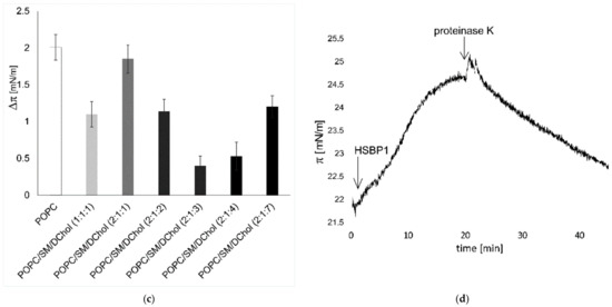 The Small Heat Shock Protein, HSPB1, Interacts with and Modulates the ...