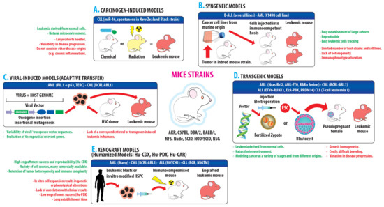 In Vitro and In Vivo Modeling of Normal and Leukemic Bone Marrow Niches ...