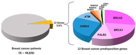 Functions of Breast Cancer Predisposition Genes: Implications for Clinical Management