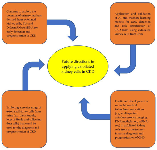 Exfoliated Kidney Cells from Urine for Early Diagnosis and ...
