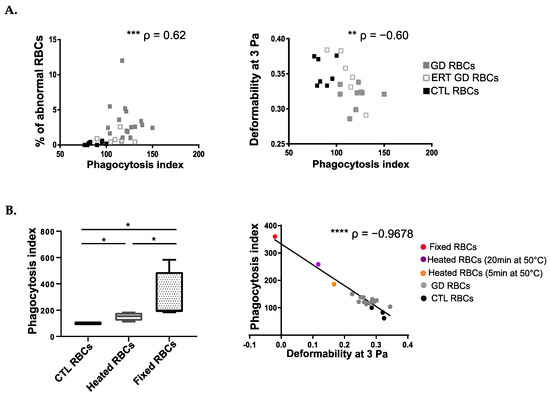 IJMS | Special Issue : Physiology of Red Cell Lineage: From ...