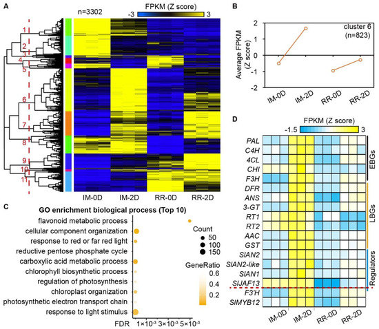 Ethylene Inhibits Anthocyanin Biosynthesis by Repressing the R2R3-MYB ...