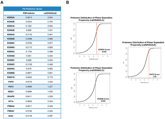 JmjC Family of Histone Demethylases Form Nuclear Condensates
