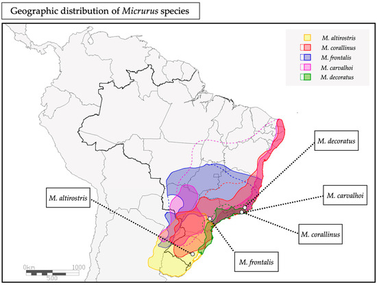 Pharmacological Screening of Venoms from Five Brazilian Micrurus ...