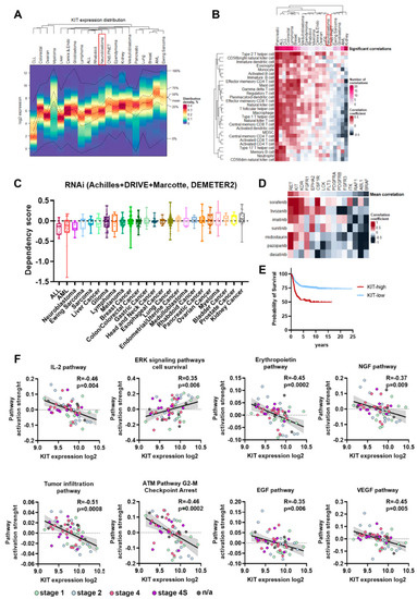 Subtype of Neuroblastoma Cells with High KIT Expression Are Dependent on KIT and Its Knockdown ...