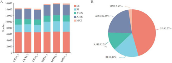 Moderate Soil Drying-Induced Alternative Splicing Provides a Potential ...