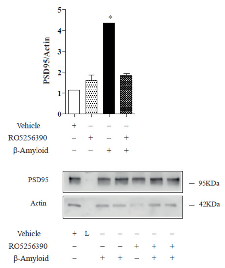 Trace Amine Associate Receptor 1 (TAAR1) as a New Target for the ...