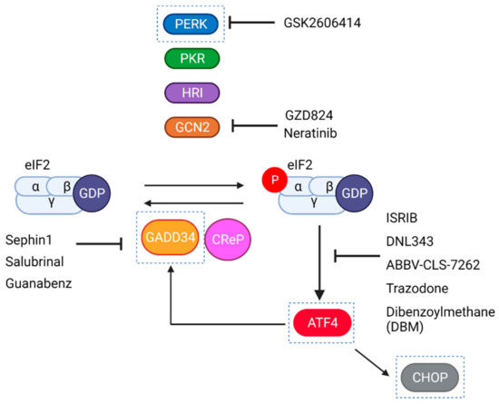 The Role and Therapeutic Potential of the Integrated Stress Response in ...