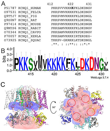 Disruption of a Conservative Motif in the C-Terminal Loop of the KCNQ1 ...