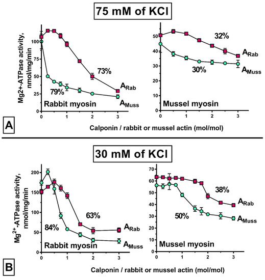 A Preparative Method for the Isolation of Calponin from Molluscan Catch ...