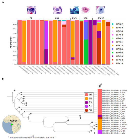 HPV Integration Site Mapping: A Rapid Method of Viral Integration Site ...