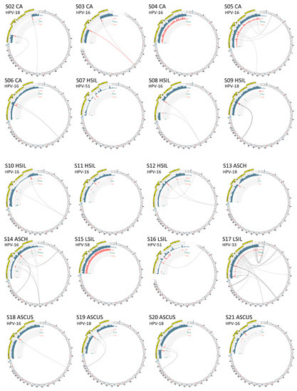Ijms Free Full Text Hpv Integration Site Mapping A Rapid Method Of