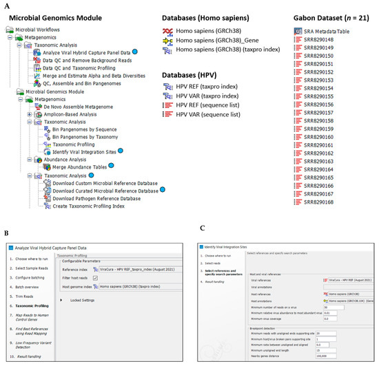 Ijms Free Full Text Hpv Integration Site Mapping A Rapid Method Of