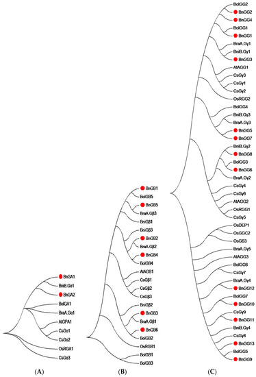 International Journal of Molecular Sciences | An Open Access Journal ...