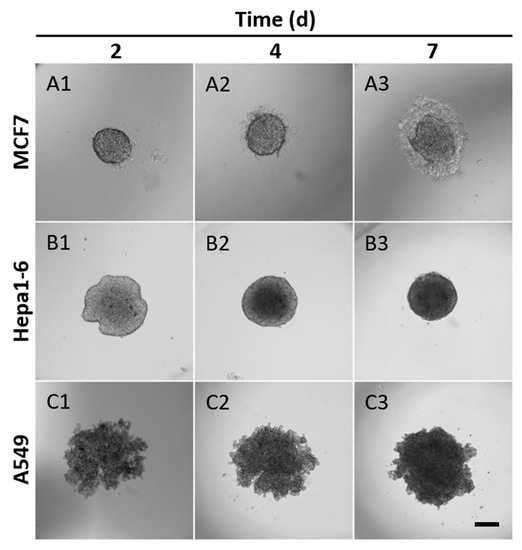 3D Printed Solutions for Spheroid Engineering and Cancer Research