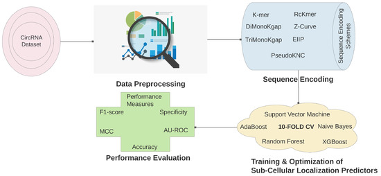 IJMS | Free Full-Text | Circ-LocNet: A Computational Framework for ...