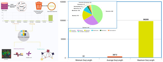Circ-LocNet: A Computational Framework for Circular RNA Sub-Cellular ...