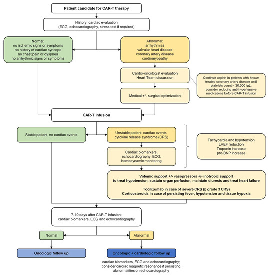 IJMS | Free Full-Text | Cardiotoxicity of Chimeric Antigen Receptor T ...
