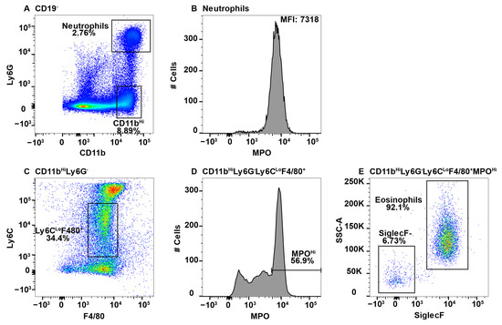 Myeloperoxidase as a Marker to Differentiate Mouse Monocyte/Macrophage ...