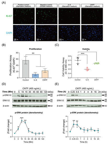 Ciliary Neurotrophic Factor (CNTF) and Its Receptors Signal Regulate ...