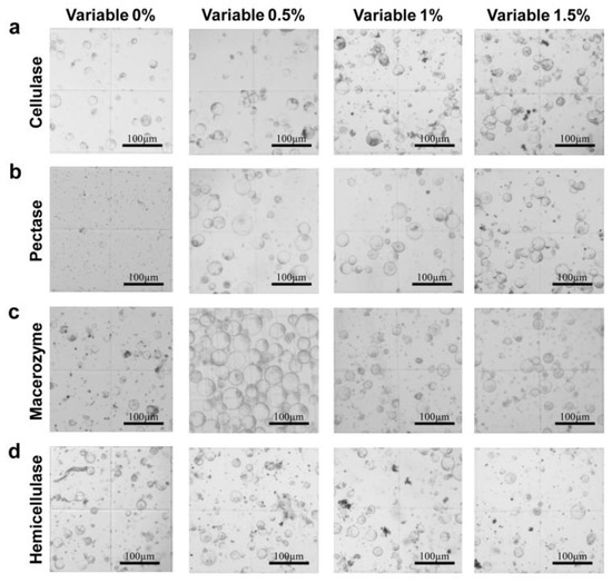 A Rapid and Efficient Method for Isolation and Transformation of Cotton ...